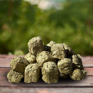 Hi Form | The Science of Natural Health Est 1990 – Hi Form Australia PL